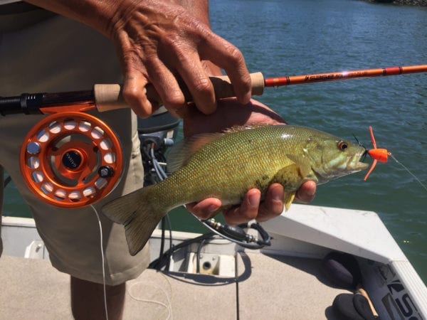 Home - GALVAN FLY REELS, INC.